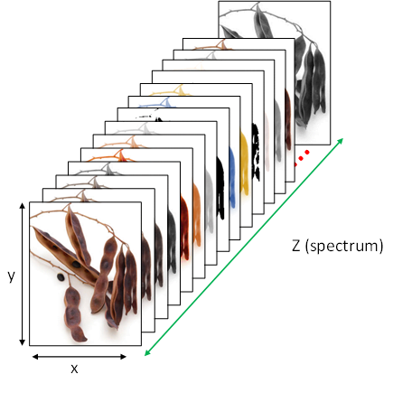 What is Hyperspectral Imaging and how do spectral sensors work ...